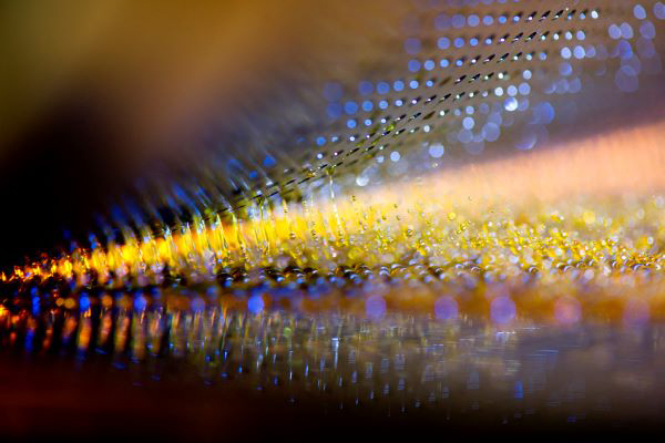 IPCO Germany GmbH - BCInsight Search